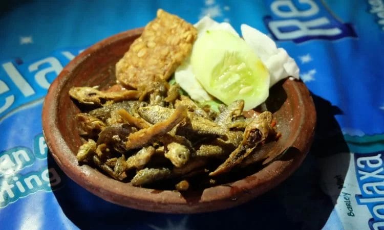 5 Makanan Khas Mojokerto yang Terkenal dan Wajib Dicoba | INTRIK.ID