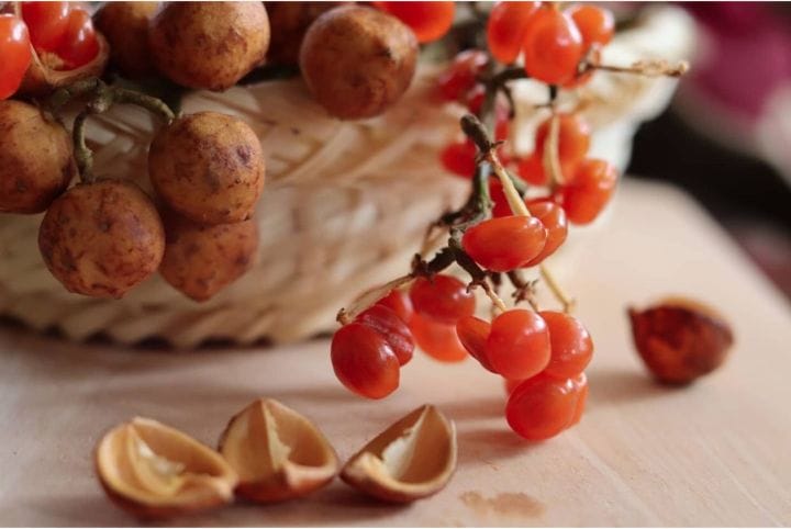 Mengetahui 4 Manfaat Buah Jentik, Mengandung Sumber Nutrisi Penting ...